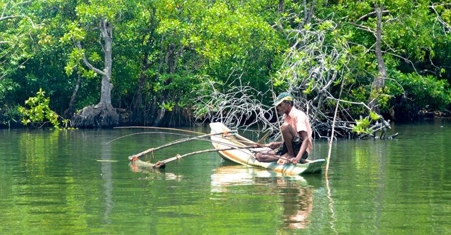 Madugaga Lagoon Safari - Hotel Thai Lanka - Hikkaduwa