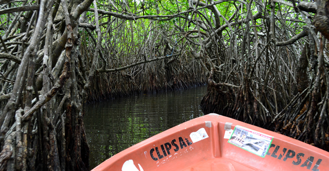 Madugaga Lagoon Safari - Hotel Thai Lanka - Hikkaduwa